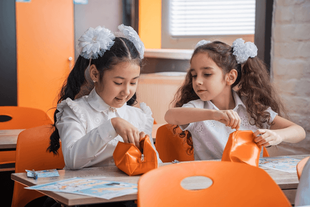 Profi School - Школа знаний и профессий